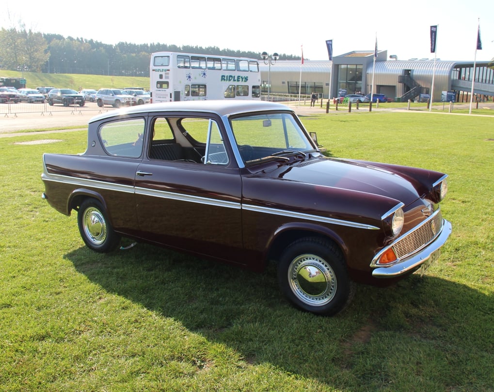 Online Collections - Details Page