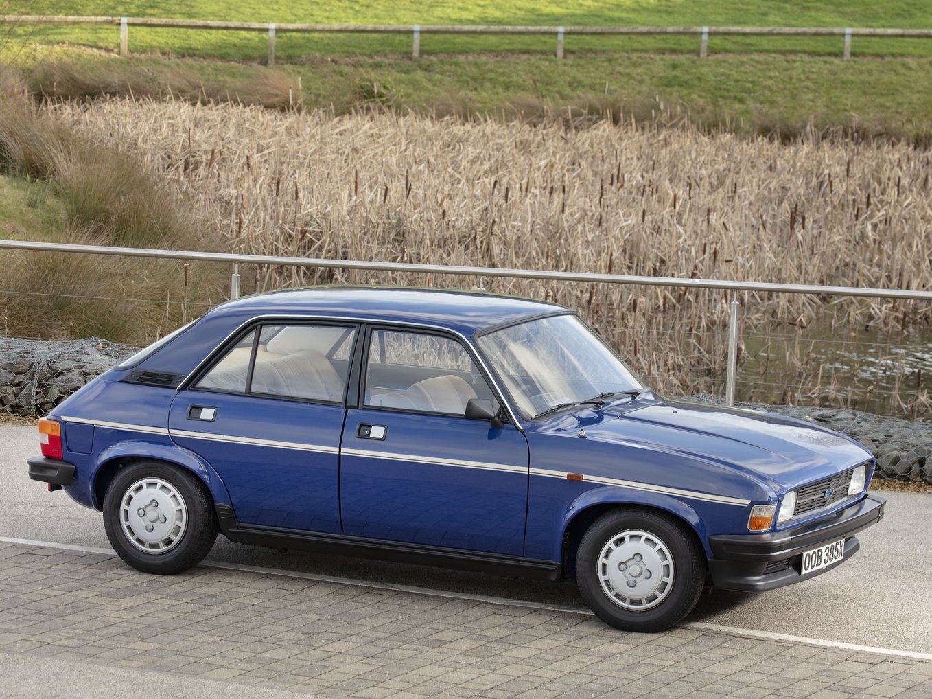 Online Collections - Details Page