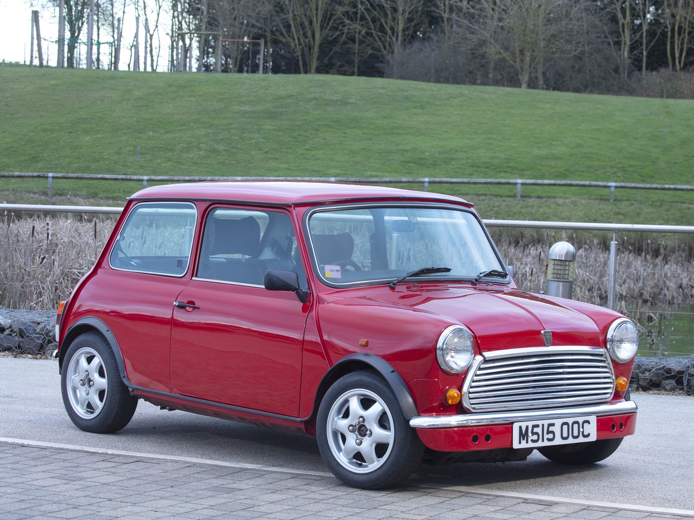 Online Collections - Details Page